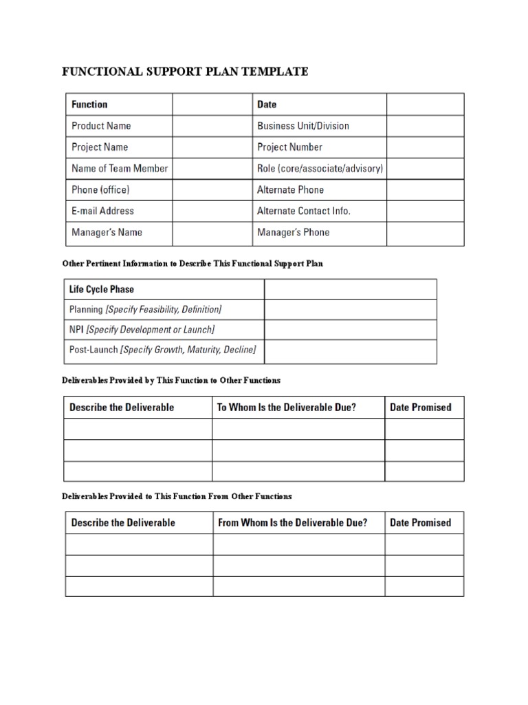 Functional Support Plan Template | PDF