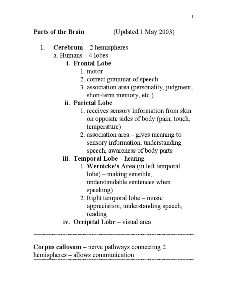 Brain Part Notes Revised 1may03 | PDF | Cerebrospinal Fluid | Cerebral ...
