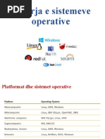 Broshura Sherebela | PDF