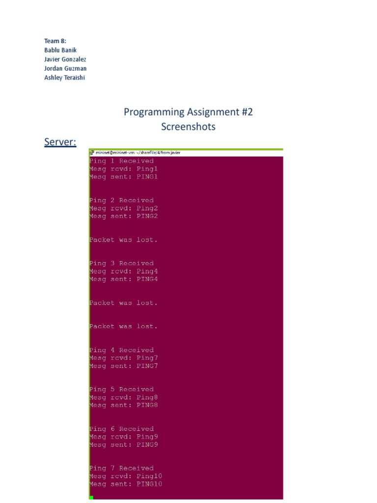 Programming Assignment 2 Screenshots | PDF