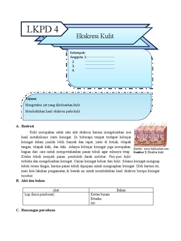 LKPD 4 Ekskresi Kulit | PDF