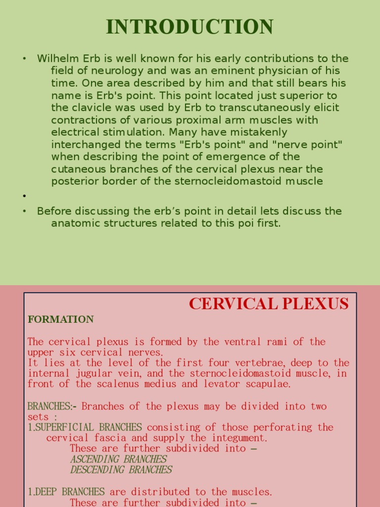Erb's Point | PDF | Human Anatomy | Musculoskeletal System