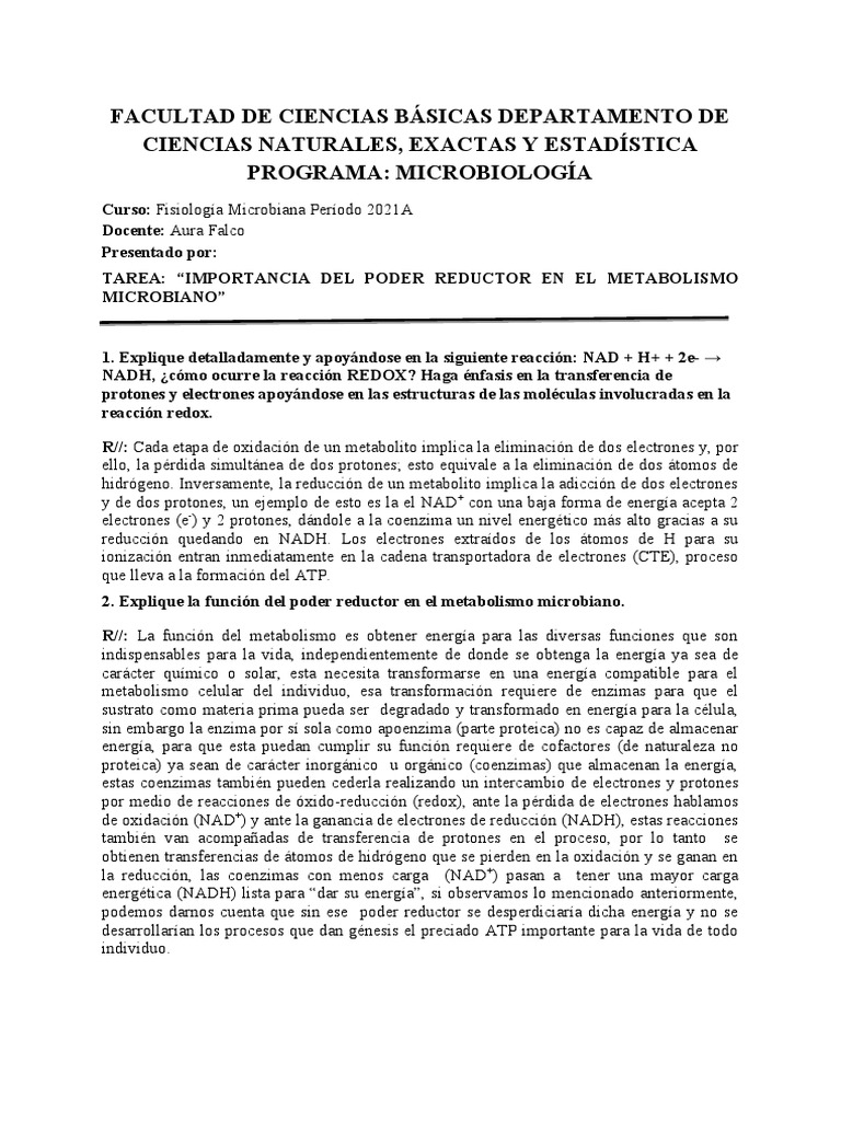 La Importancia Del Poder Reductor | PDF | Redox | Nicotinamida adenina dinucleótida