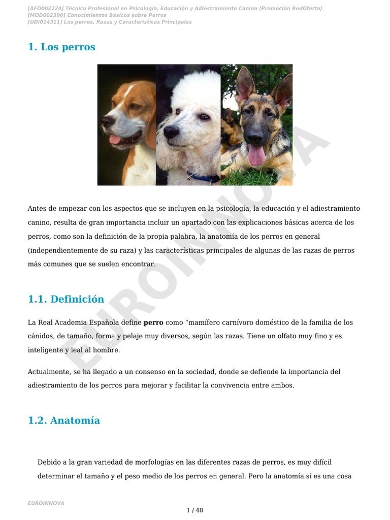 Los Perros, Razas y Características Principales | PDF | Boxer (Perro ...