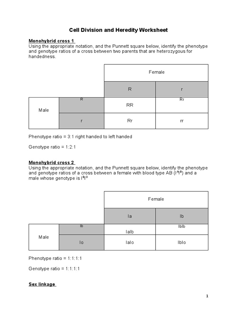 Worksheet Unit 7 | PDF | Biology | Genetics