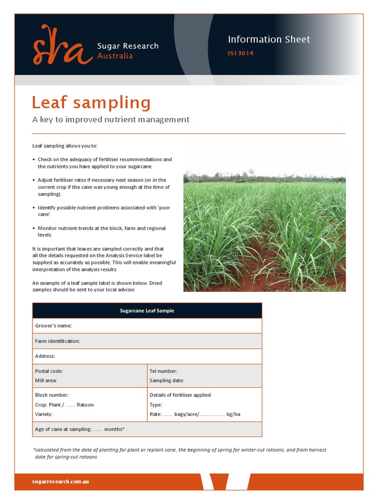 Leaf Sampling: A Key To Improved Nutrient Management | PDF | Sugarcane ...