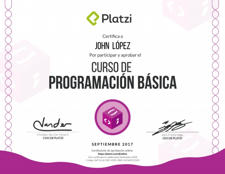 Diploma Programacion Basica | PDF