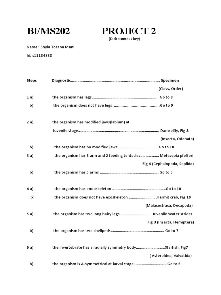 BI202 PROJECT 2 Dichotomous Key | PDF | Invertebrate | Zoology