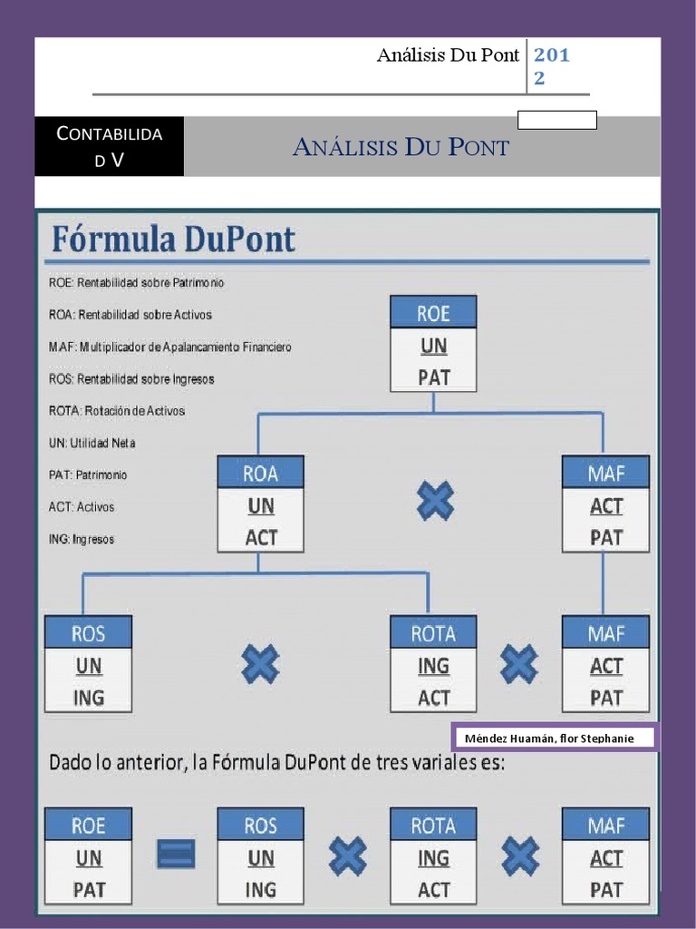 Análisis del Modelo Du Pont 2023 | PDF | Rentabilidad sobre recursos ...