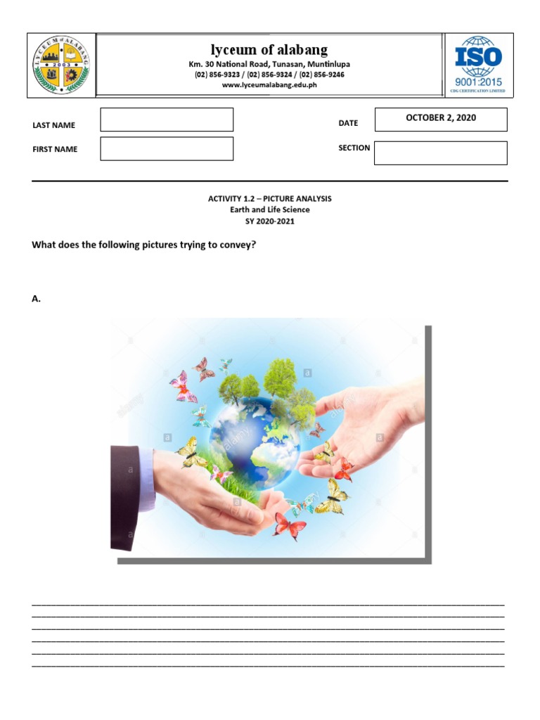 Activity 1.2 Picture Analysis | PDF