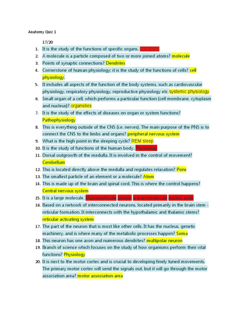 Anatomy Quiz 1 | PDF