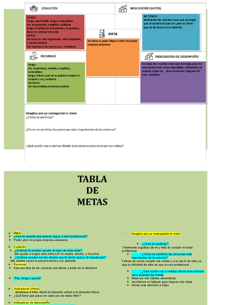 Tabla de Metas-Ehimy23 | PDF