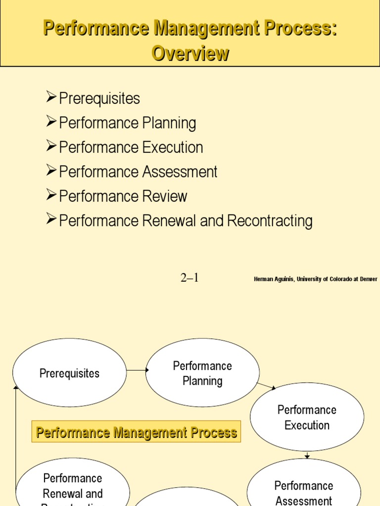 Performance Management Process | PDF | Performance Appraisal | Leadership
