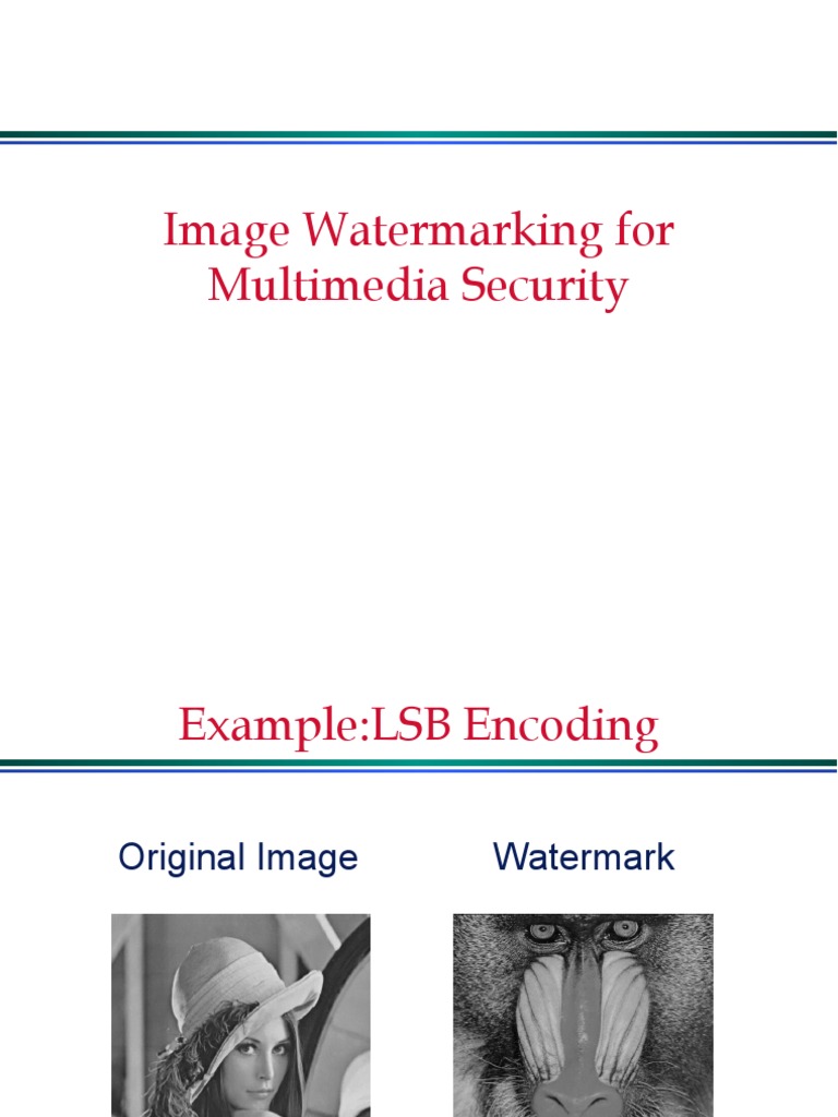 Image Watermark - Final | PDF | Telecommunications | Electronics