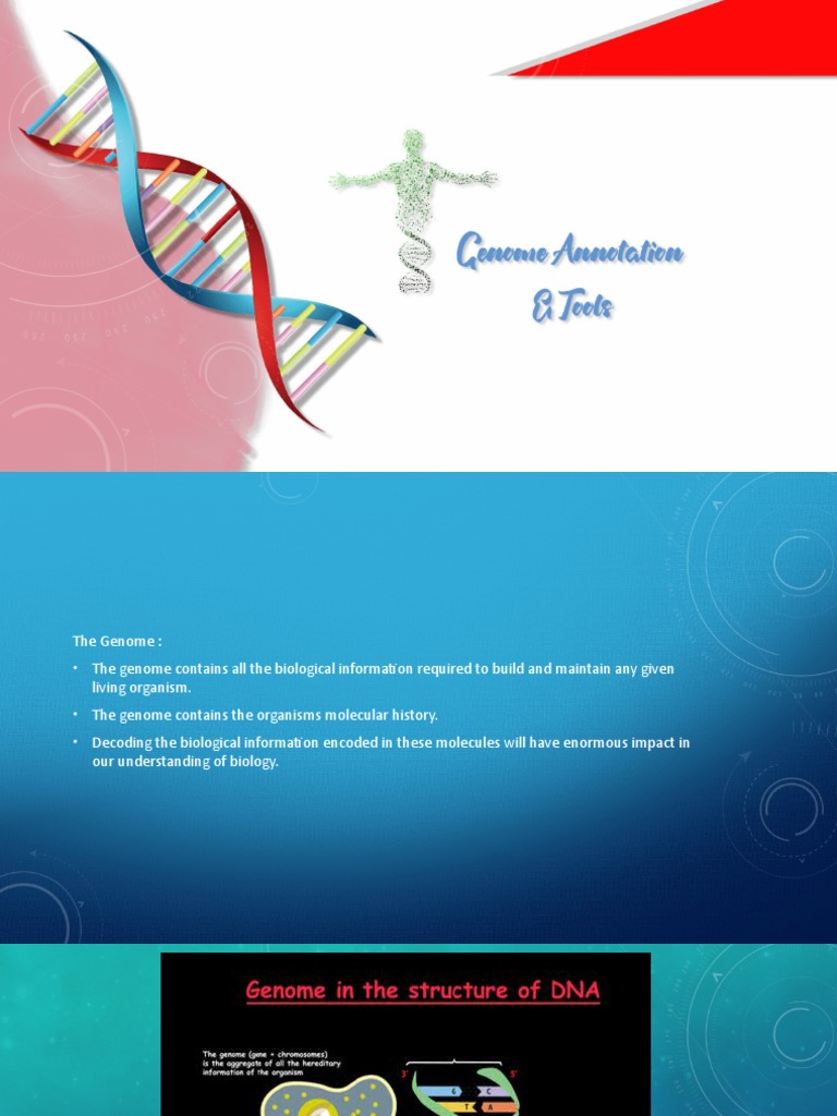 Genome Annotation and Tools | PDF | Genome | Open Reading Frame