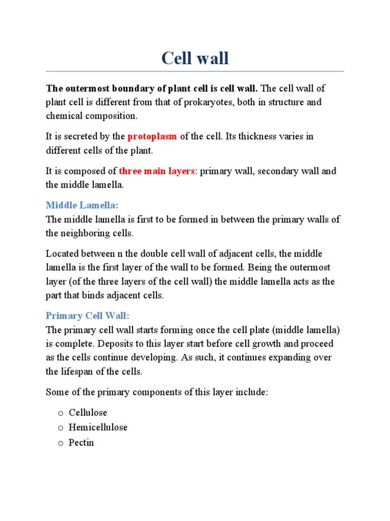 The Structure and Composition of the Plant Cell Wall: A Look at the ...