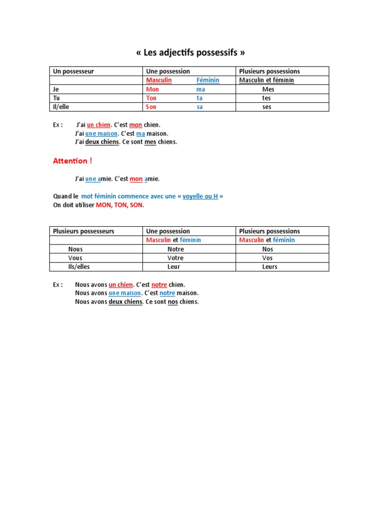 Adjectifs possessifs : Guide A1 | PDF