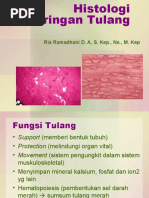 Tabel Origo dan Insersio Otot Manusia | PDF
