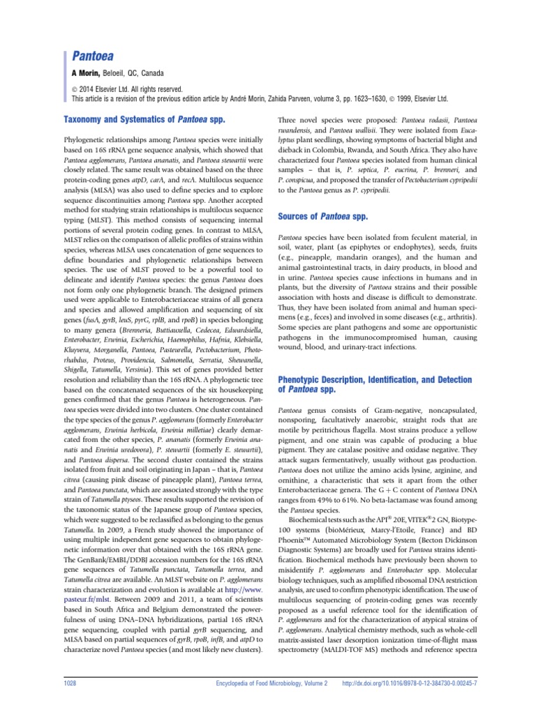 Pantoea Species Identification and Classification | PDF | Infection ...