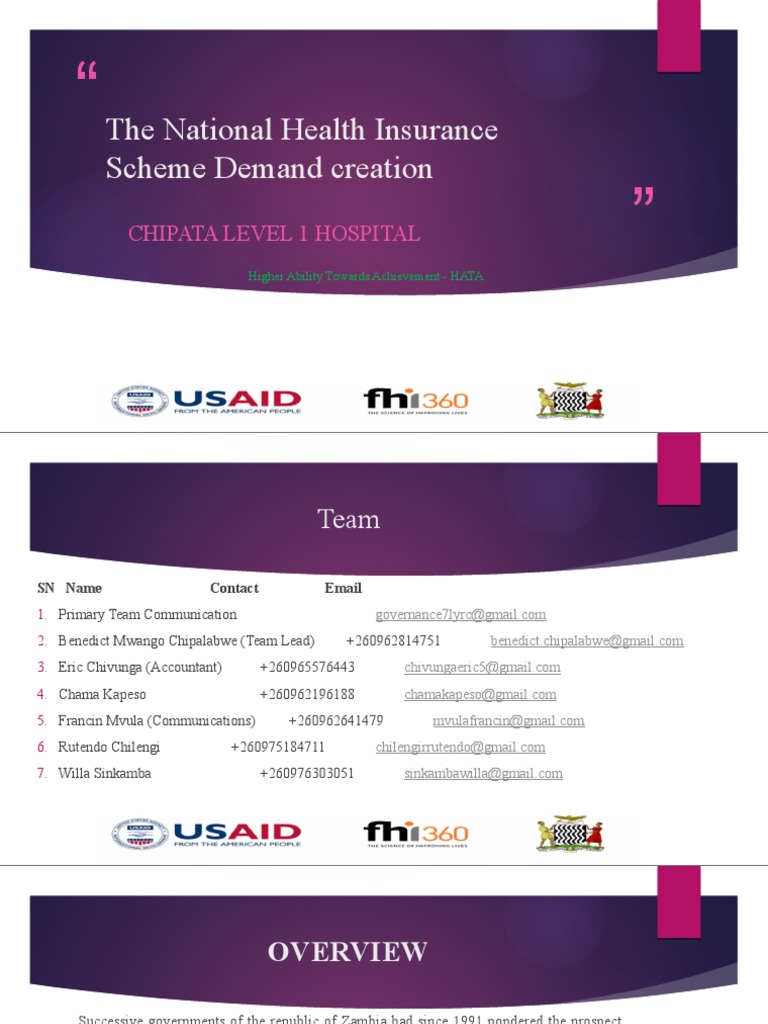 Capstone Pitch Template | PDF | Health Care | Health Sciences