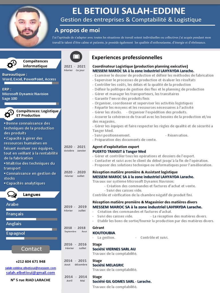CV Salah-Eddine Elbetioui | PDF | Microsoft Dynamics Nav | Logistique