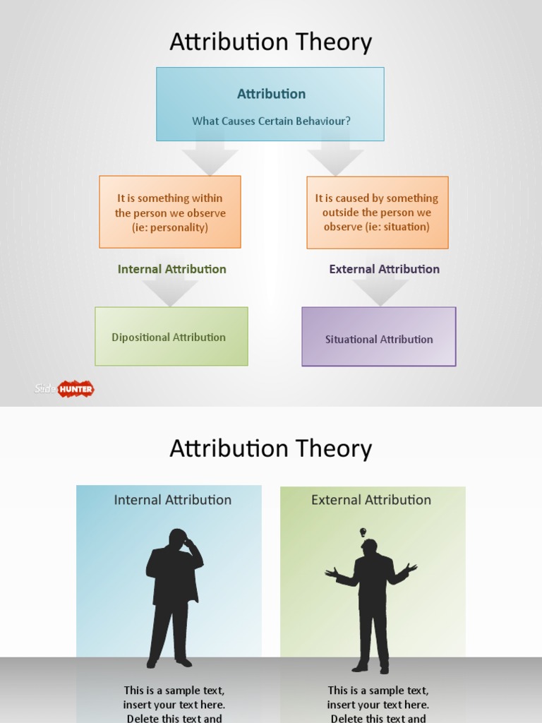 8073 01 Attribution Theory | PDF