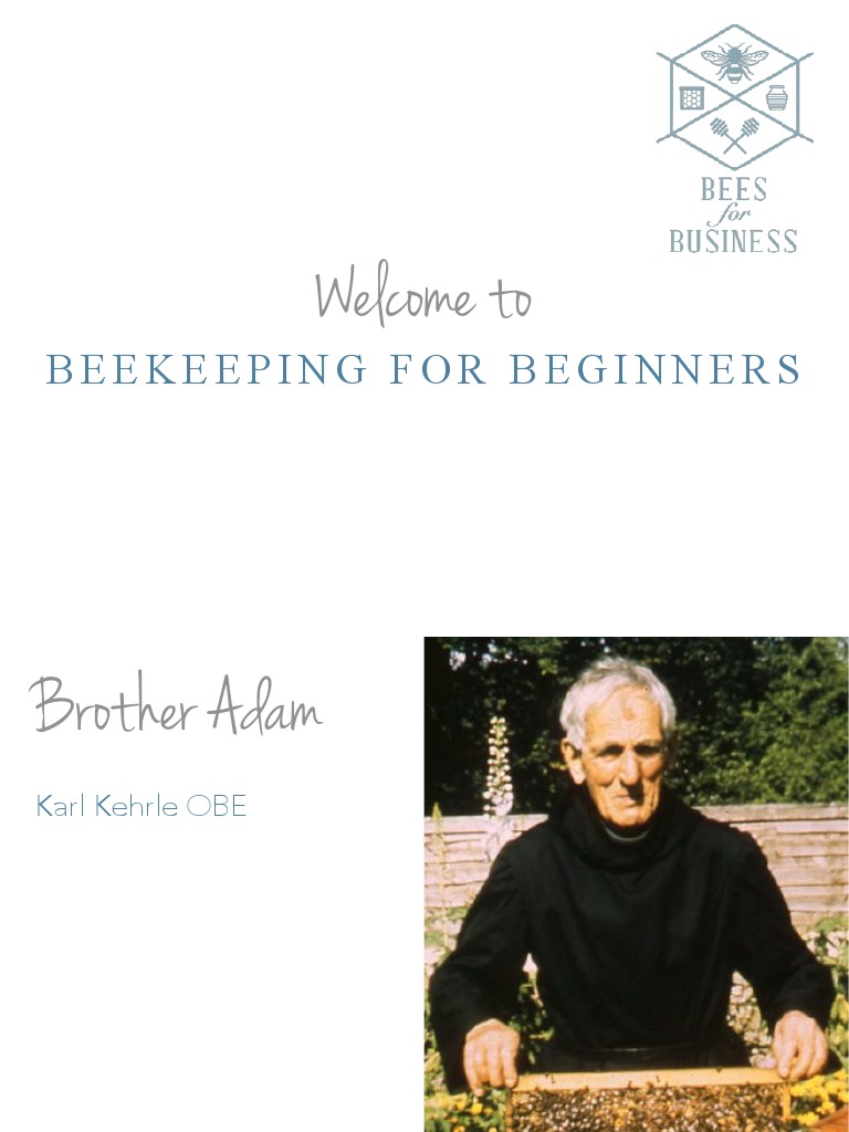 Beginner's Guide to Beekeeping Basics | PDF | Honey Bee | Beehive