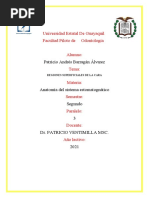 Anatomía de la región superciliar | PDF | Anatomía humana | Cabeza y ...