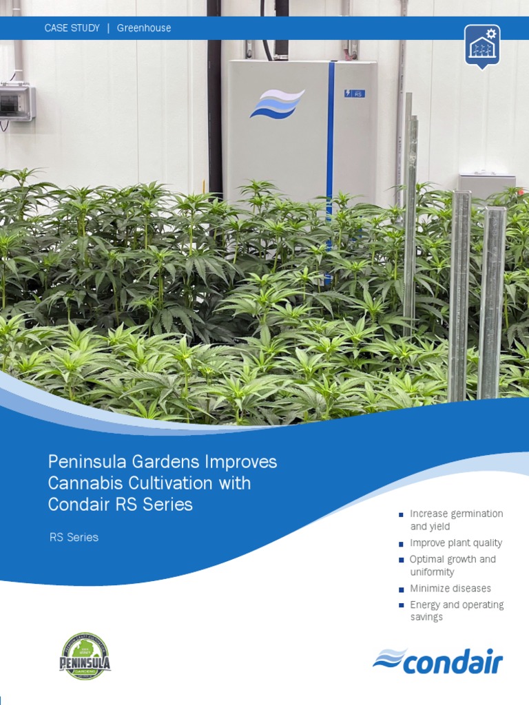 Peninsula Gardens Improves Cannabis Cultivation With Condair RS Series | PDF