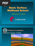Cameron Wellhead Presentation | PDF | Casing (Borehole) | Valve