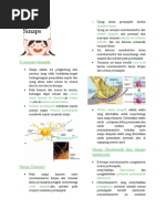 Sinaps: Jenis, Fungsi, dan Mekanisme | PDF