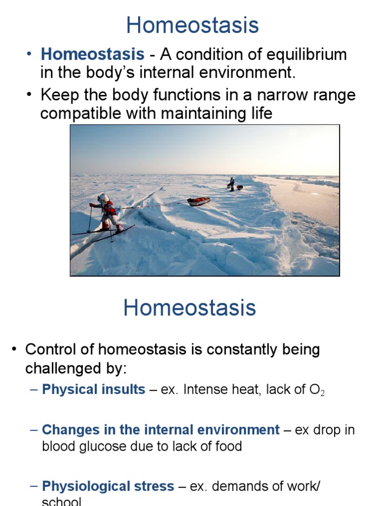L1 Rec2 Homeostasis and Cells | PDF | Homeostasis | Cell Nucleus