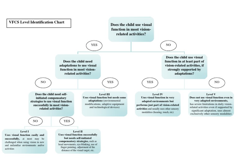 Does The Child Use Visual Function in Most Vision-Related Activities ...