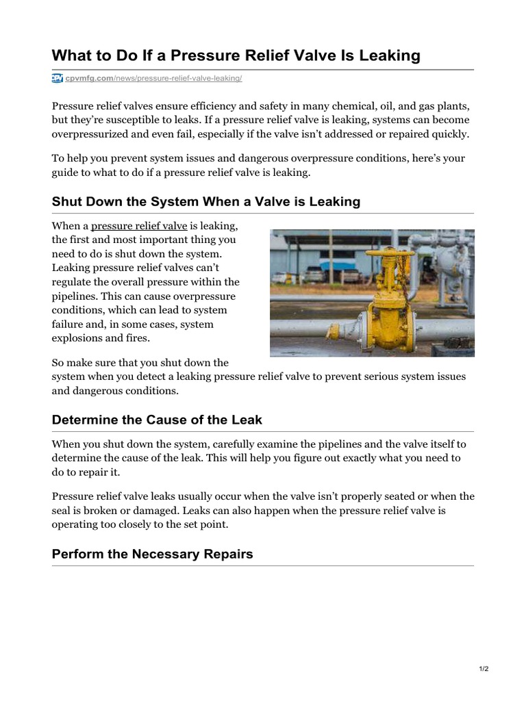 Pressure Relief Valve Leak Fix Guide | PDF | Leak | Valve