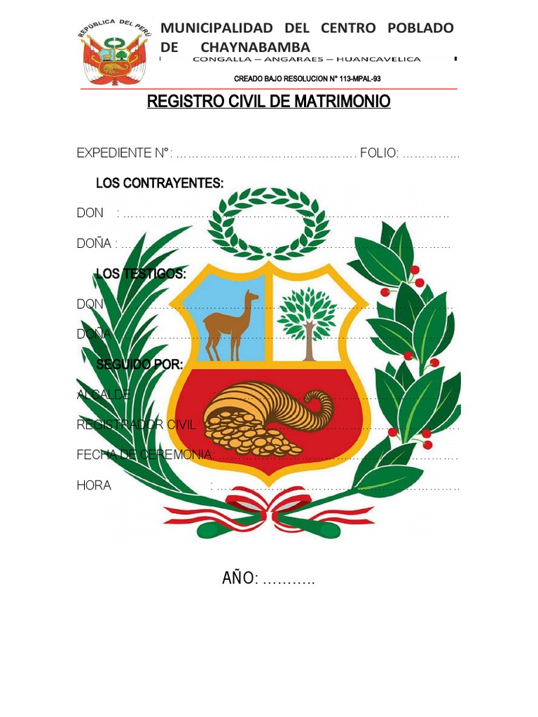 Formatos - Registro Civil de Matrimonio | PDF | Instituciones sociales ...