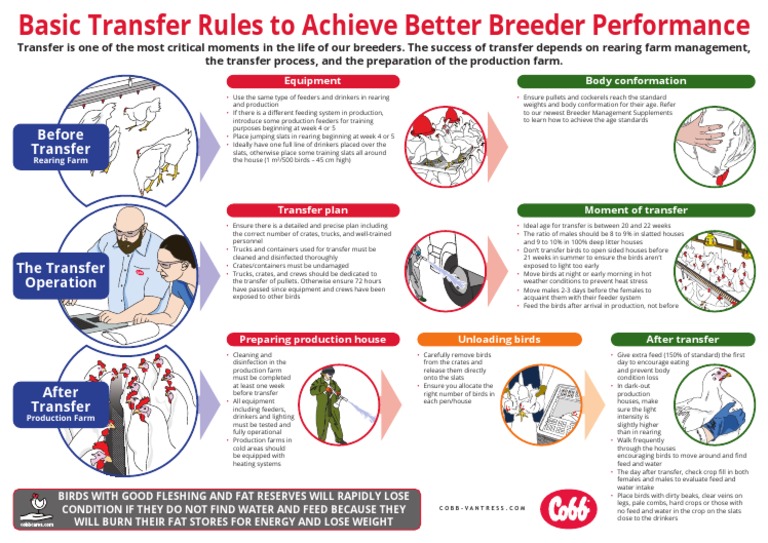Essential Breeder Transfer Guidelines | PDF | Birds
