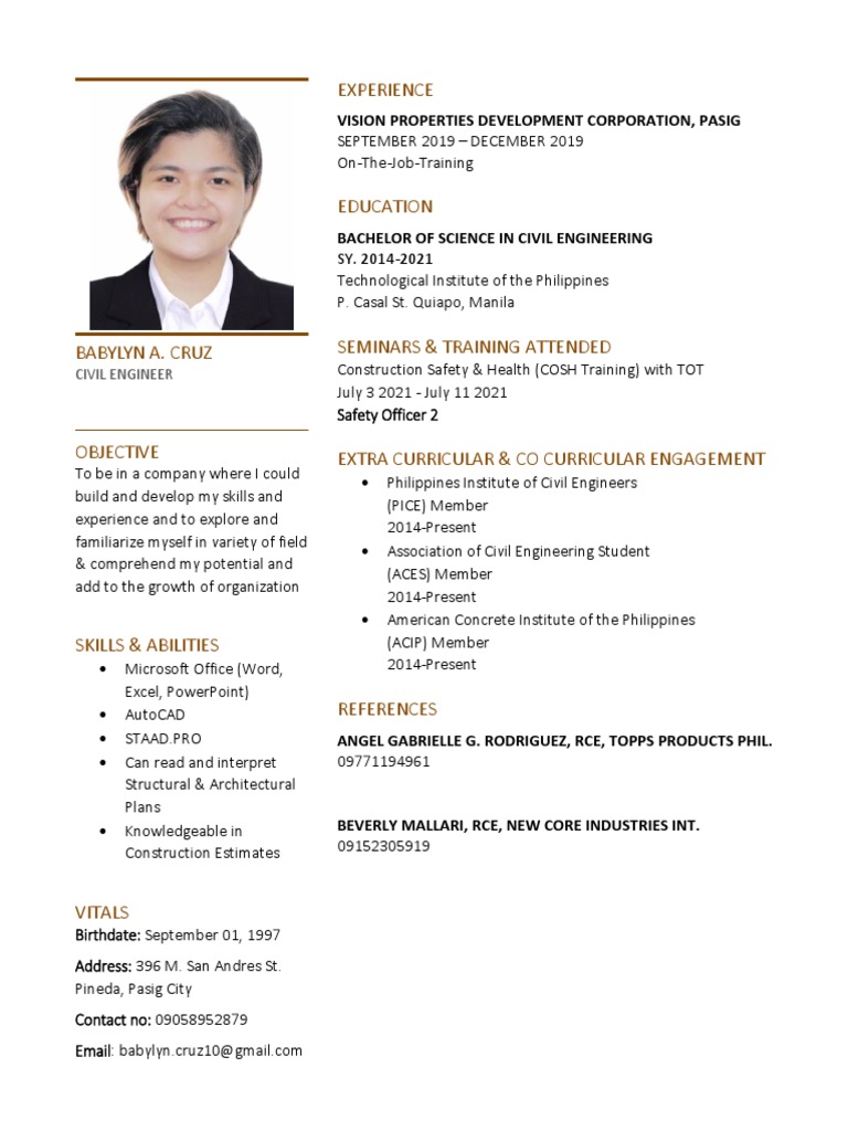 Experience: Vision Properties Development Corporation, Pasig | PDF ...