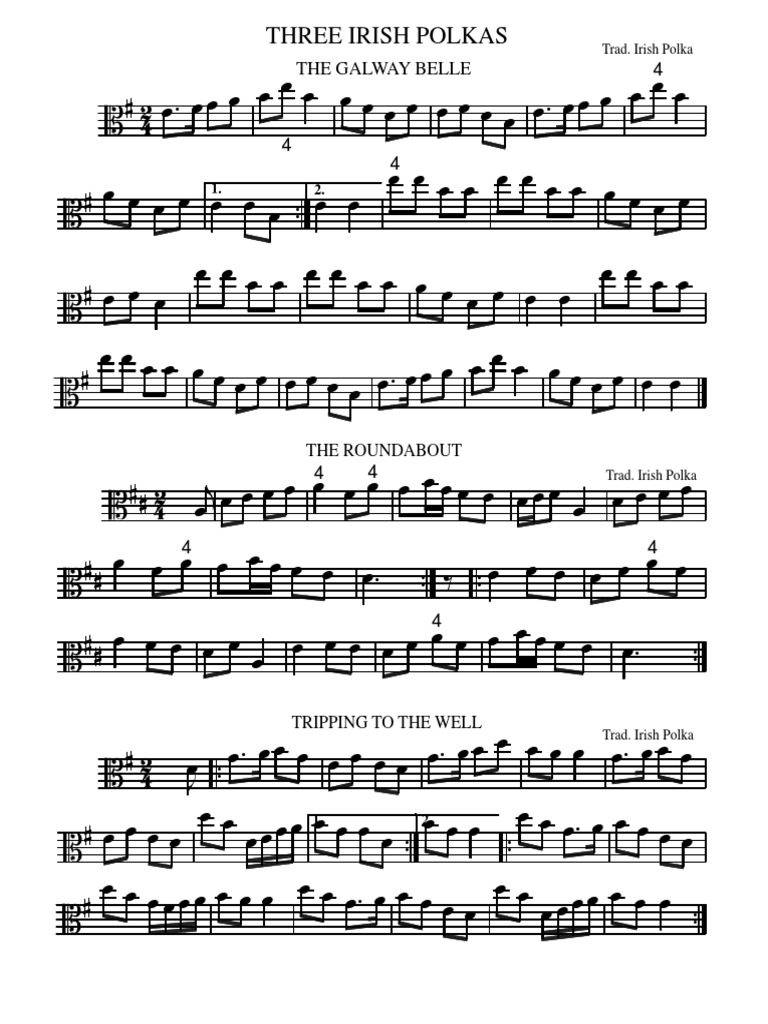 Three Irish Polkas For Viola Solo | PDF