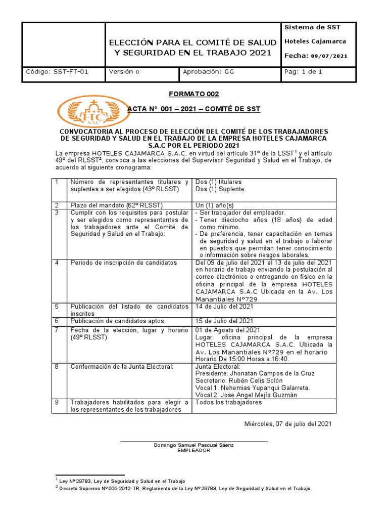 Convocatoria Al Proceso de Elecciones Del CSST HC | PDF | Gobierno
