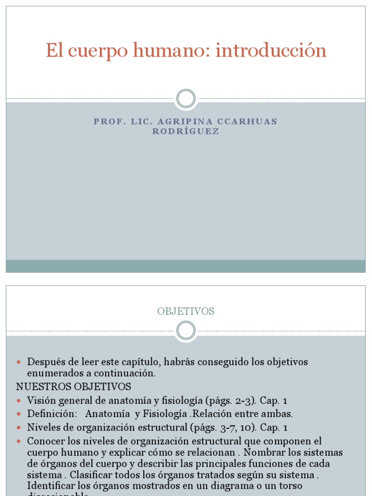 Sistemas del Cuerpo Humano | PDF | Sangre | Homeostasis