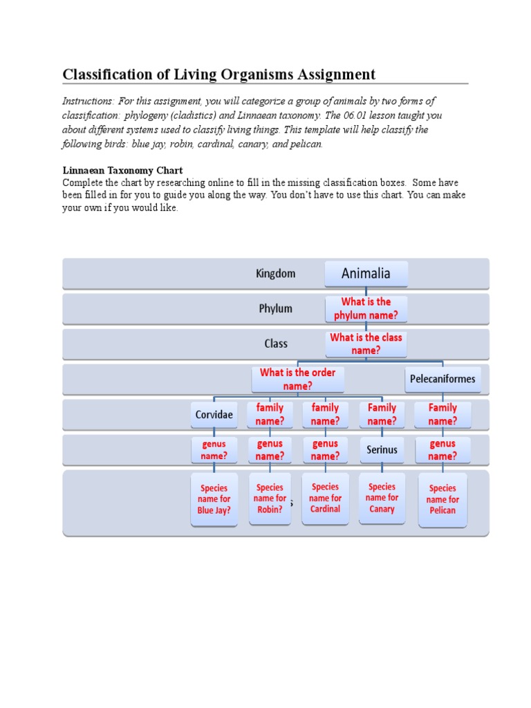 06 01 Classification Assignment Template | PDF | Taxonomy (Biology ...