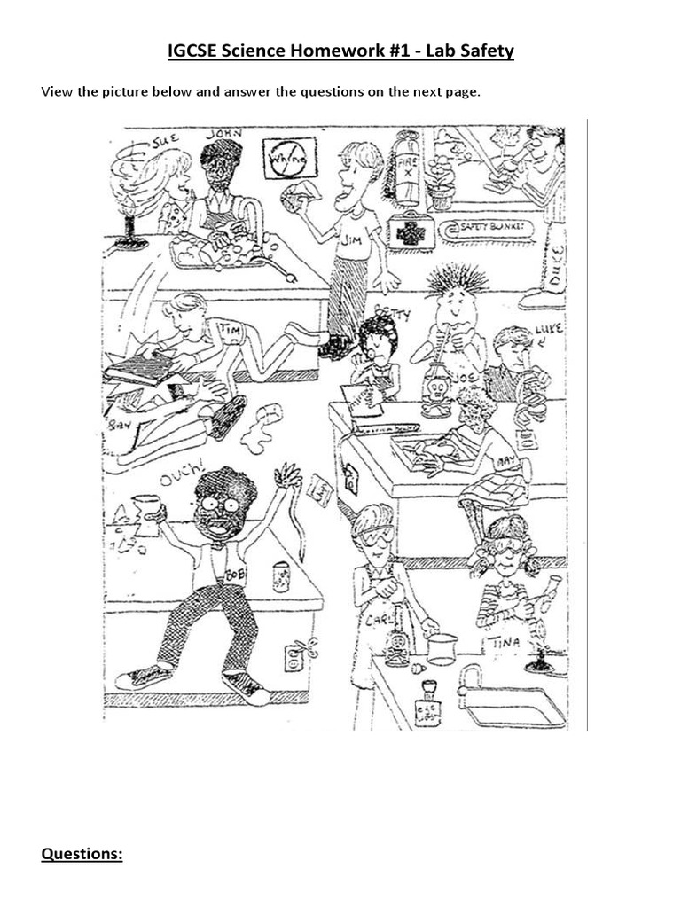 IGCSE Science Homework #1 - Lab Safety: View The Picture Below and ...