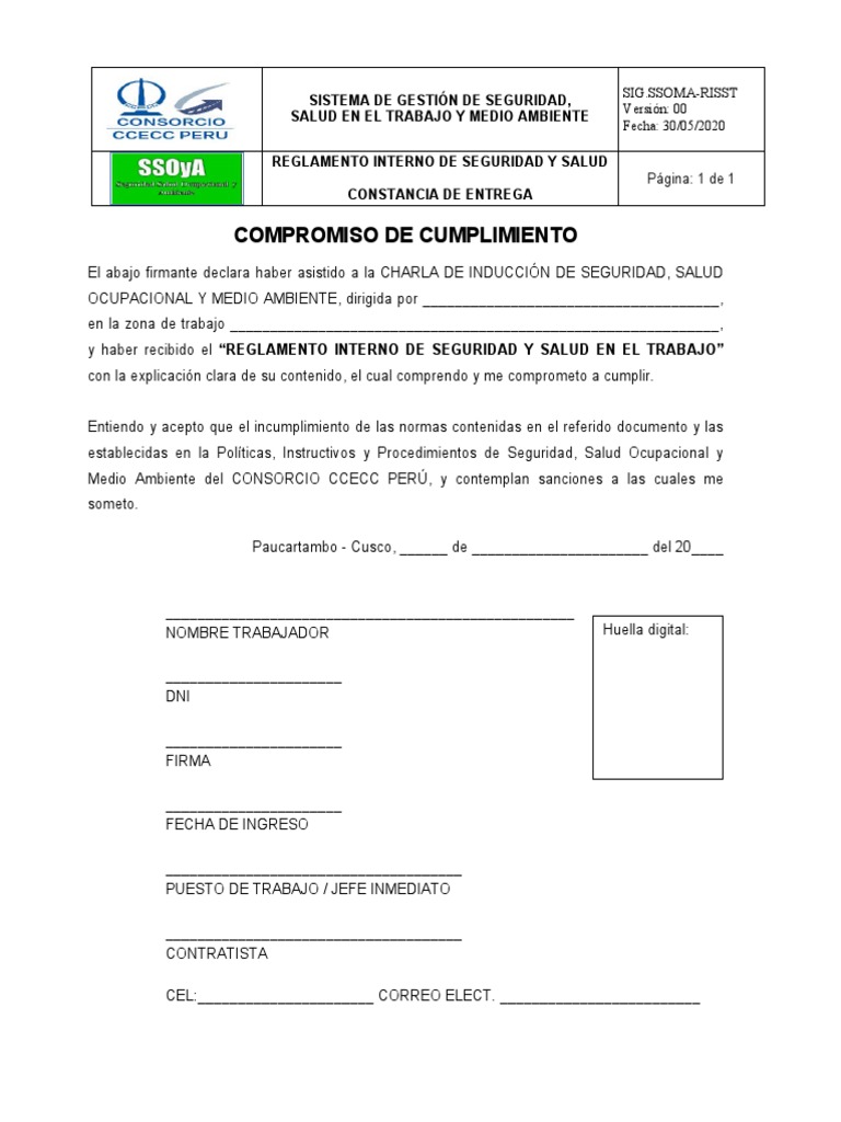 Constancia Entrega de RISST | PDF
