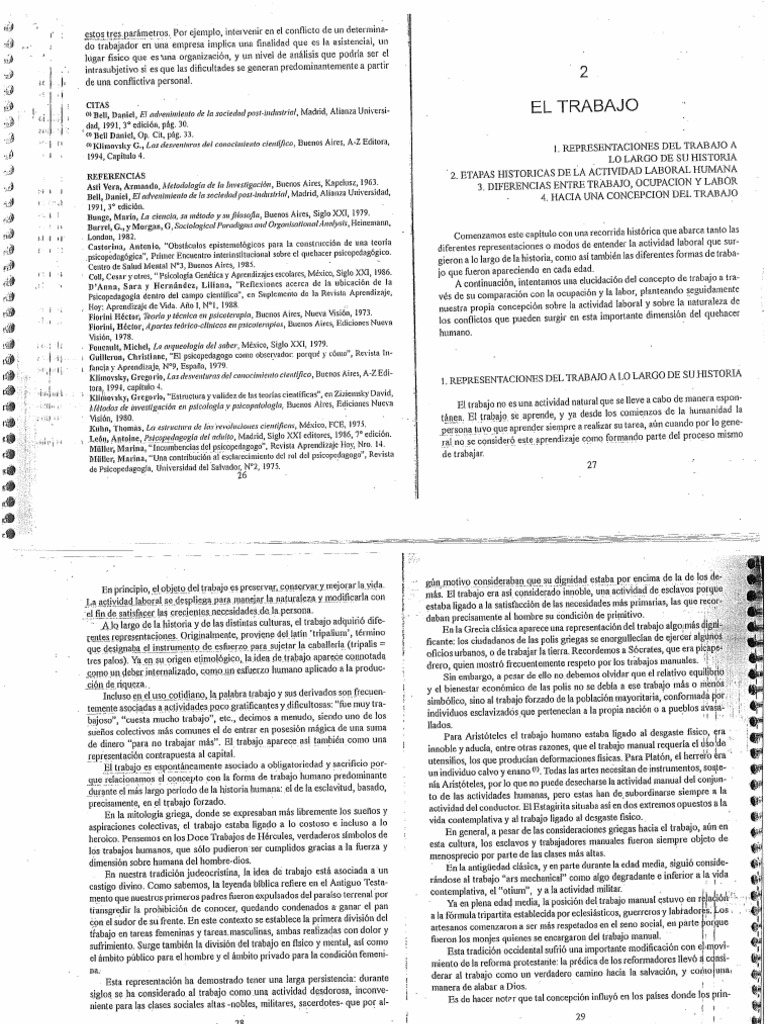 Introducción A La Psicopedagogía Laboral - Cap. 2 | PDF