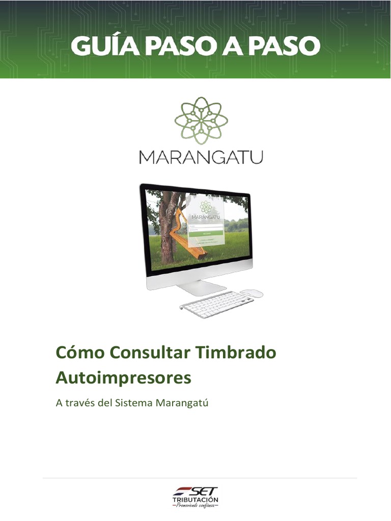 Guía Paso A Paso - Cómo Consultar Timbrado Autoimpresores | PDF