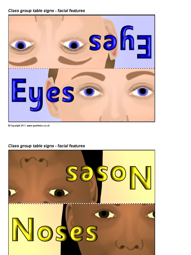 Facial Features Group Table Signs | PDF
