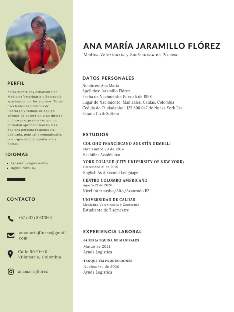 CV Ana María | PDF