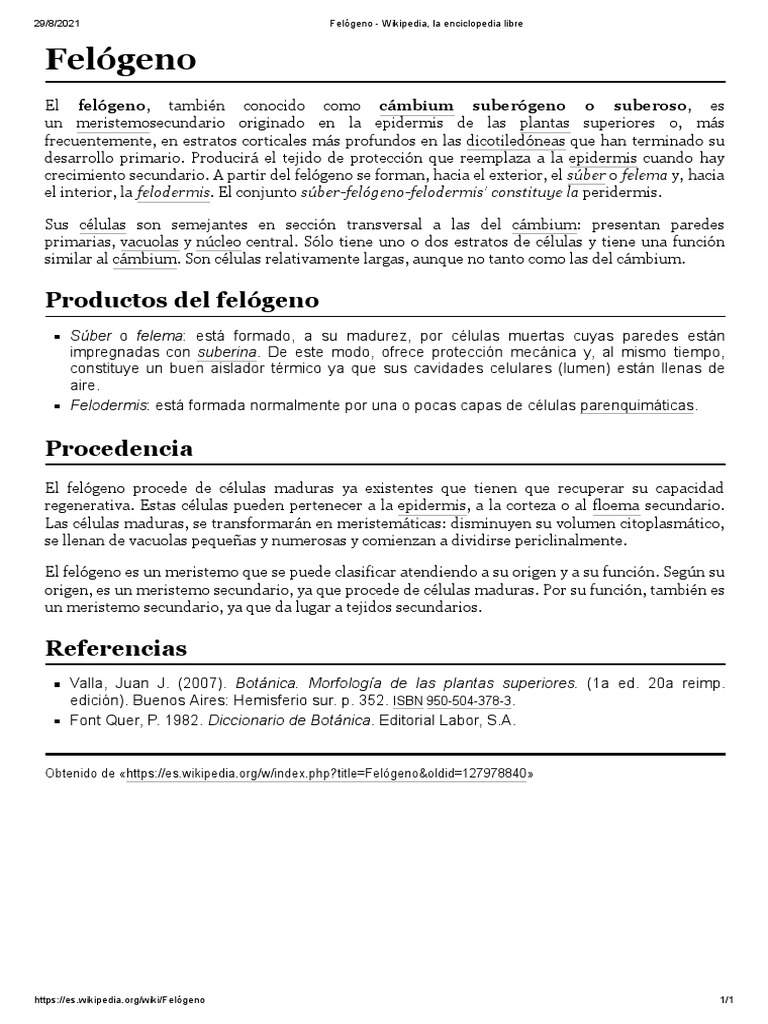 Felógeno: Meristemo Secundario en Plantas | PDF | Artes del Lenguaje y ...