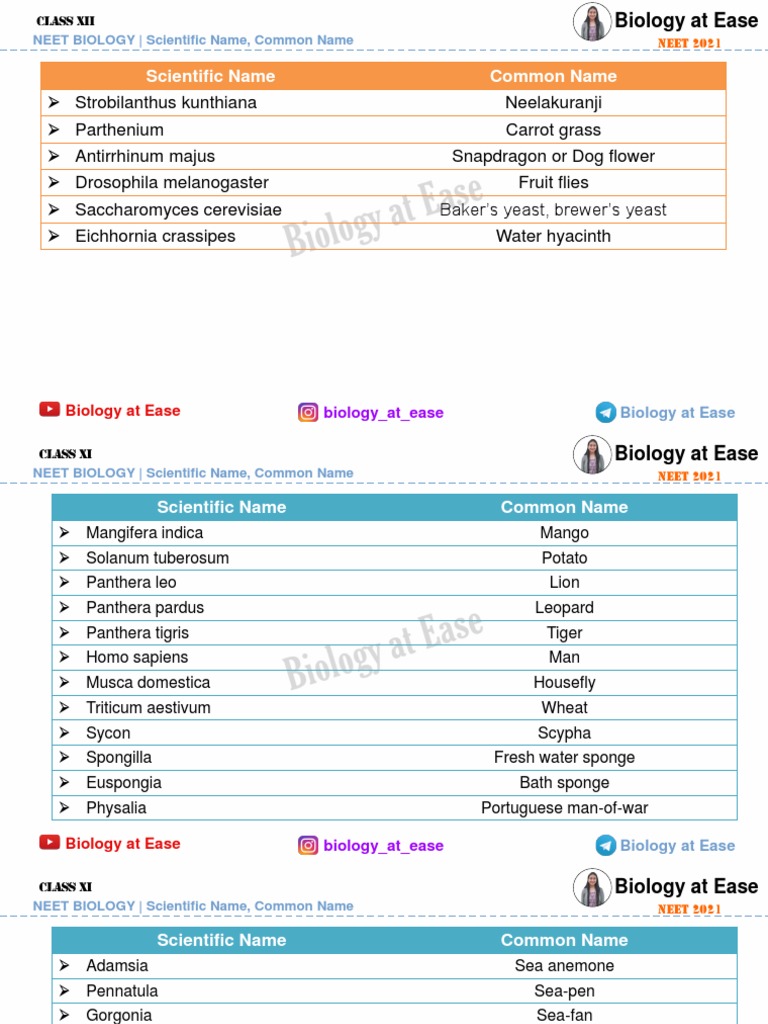 NEET BIOLOGY Scientific Names and Common Names-1 | PDF