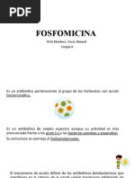 Prosp Fosfolea | PDF | Infección del tracto urinario | Bacterias Gram ...